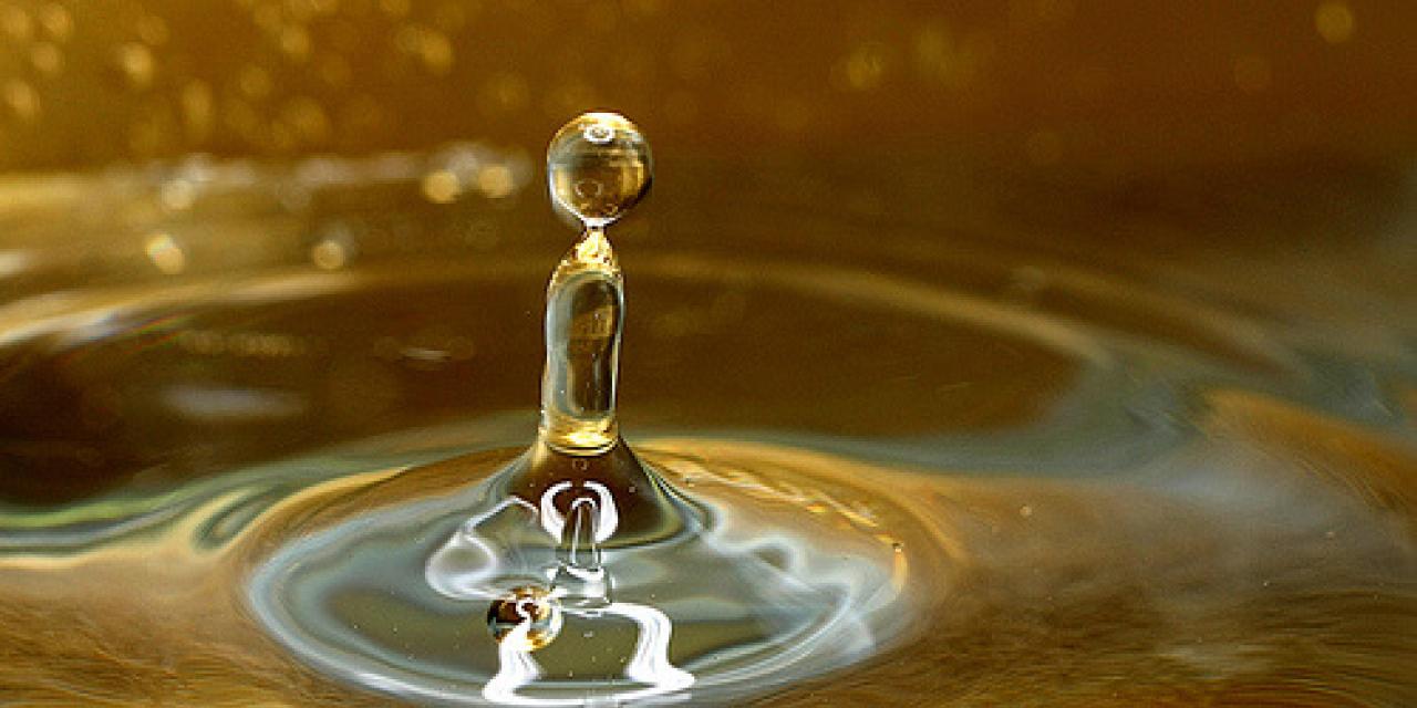 Projects · Genesis Analytics